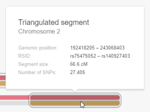 DNA Basics Chapter 4: A Glossary of Terms - MyHeritage Blog